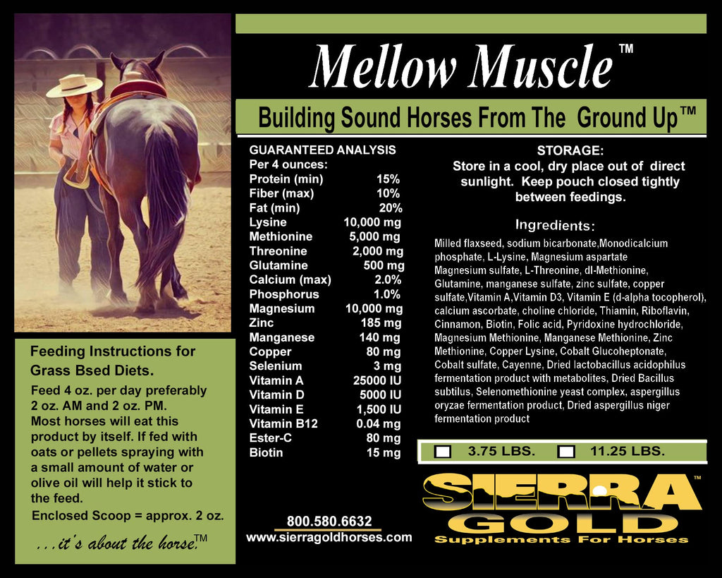 daily wellness with blended vitamin supplements