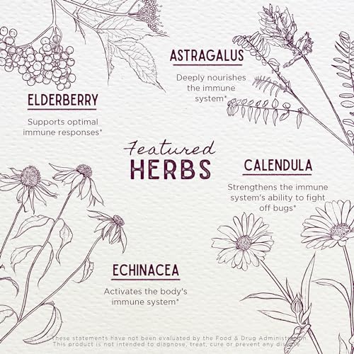 daily wellness with elderberry extract