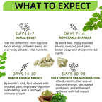 daily wellness with Moringa capsules