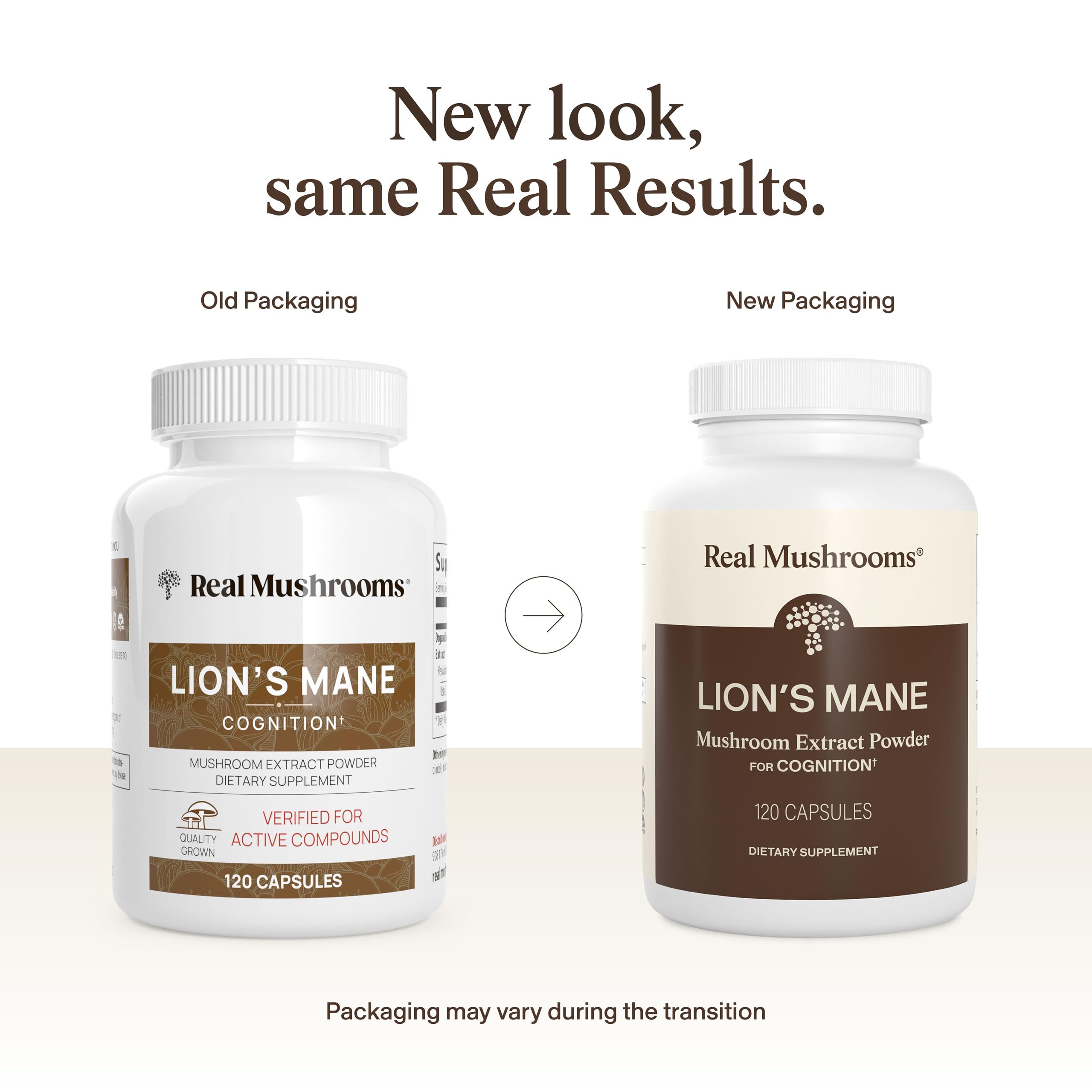 Daily wellness with mushroom extract