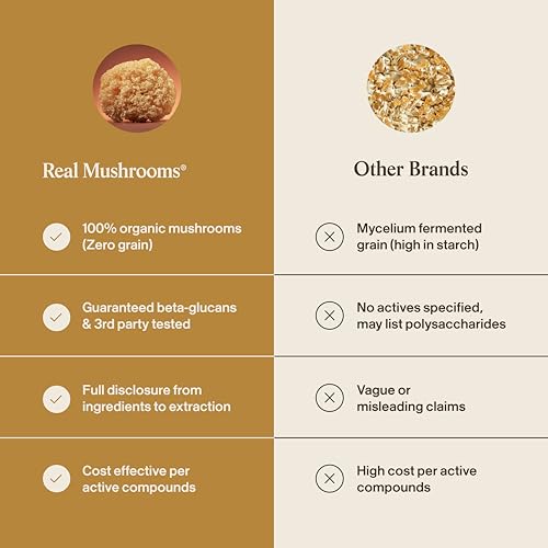 Daily wellness with organic mushrooms