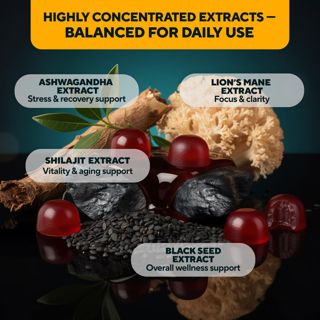 Daily wellness with shilajit supplements