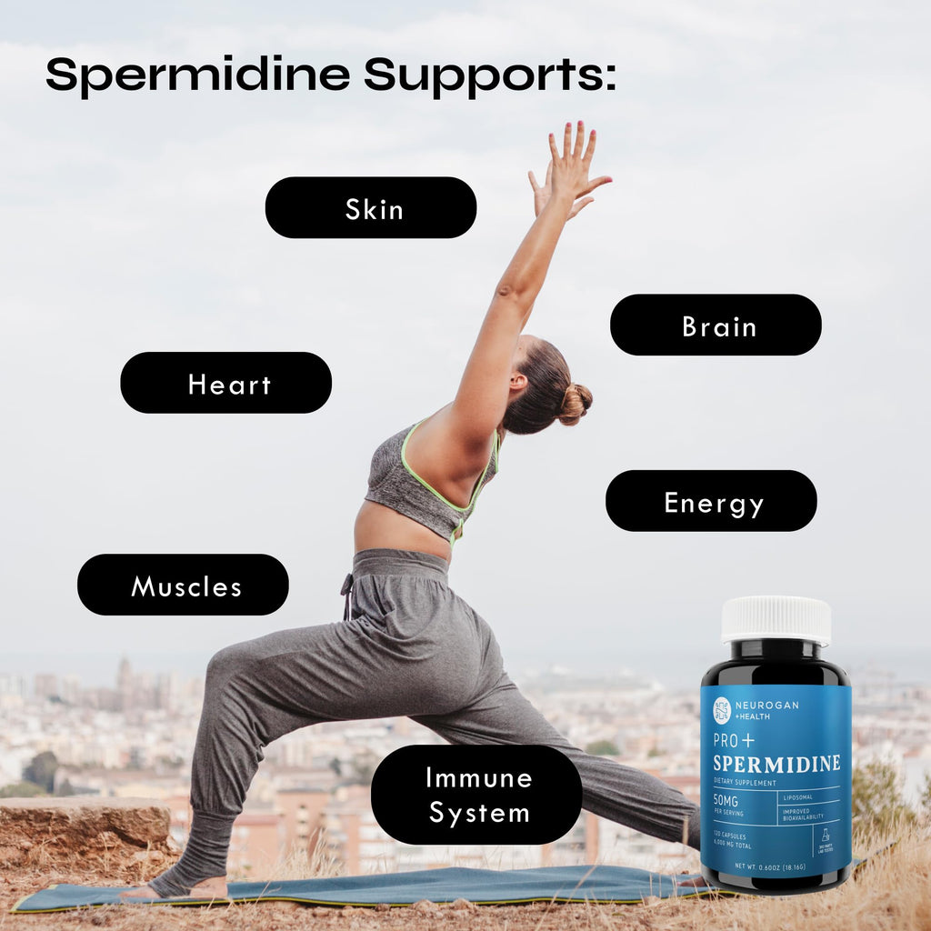 daily wellness with spermidine capsules