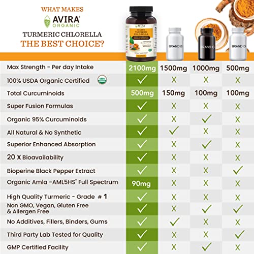 daily wellness with turmeric superfood