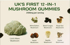 Daily wellness with UMMI gummies