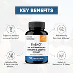 Daily zinc supplement for health boost