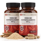 DailyNutra Ashwagandha 600 mg capsules