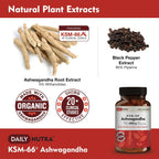 DailyNutra ashwagandha 600 mg for energy boost