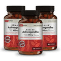 DailyNutra ashwagandha capsules for stress relief