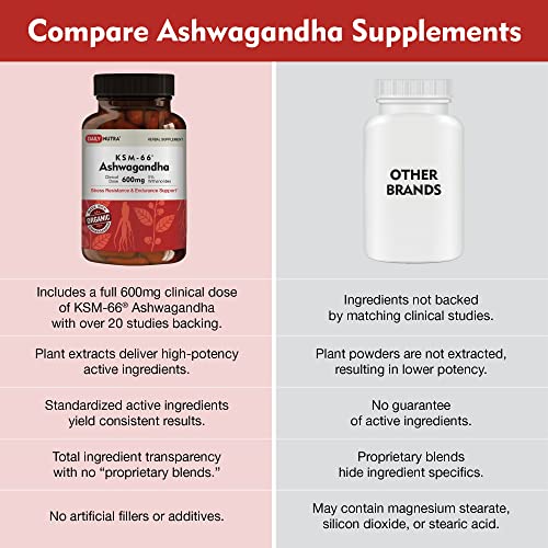 DailyNutra ashwagandha for better focus