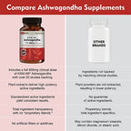 DailyNutra ashwagandha for better focus