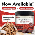 DailyNutra ashwagandha for immune system support