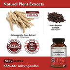 DailyNutra herbal capsules for daily wellness