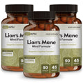 DailyNutra Lion’s Mane supplement benefits