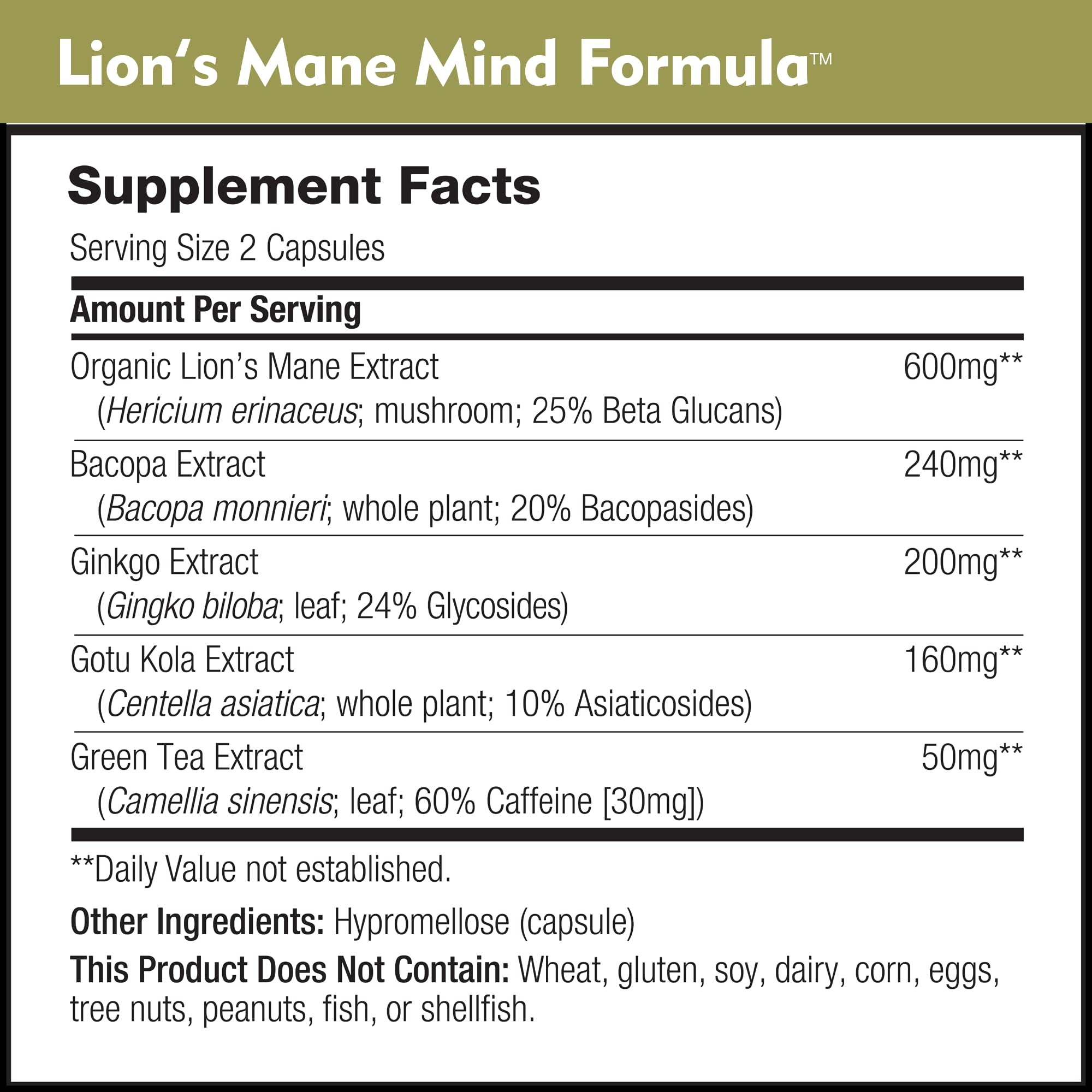 DailyNutra nootropic for studying and work