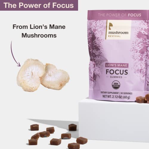 Dairy-free Lion's Mane for wellness