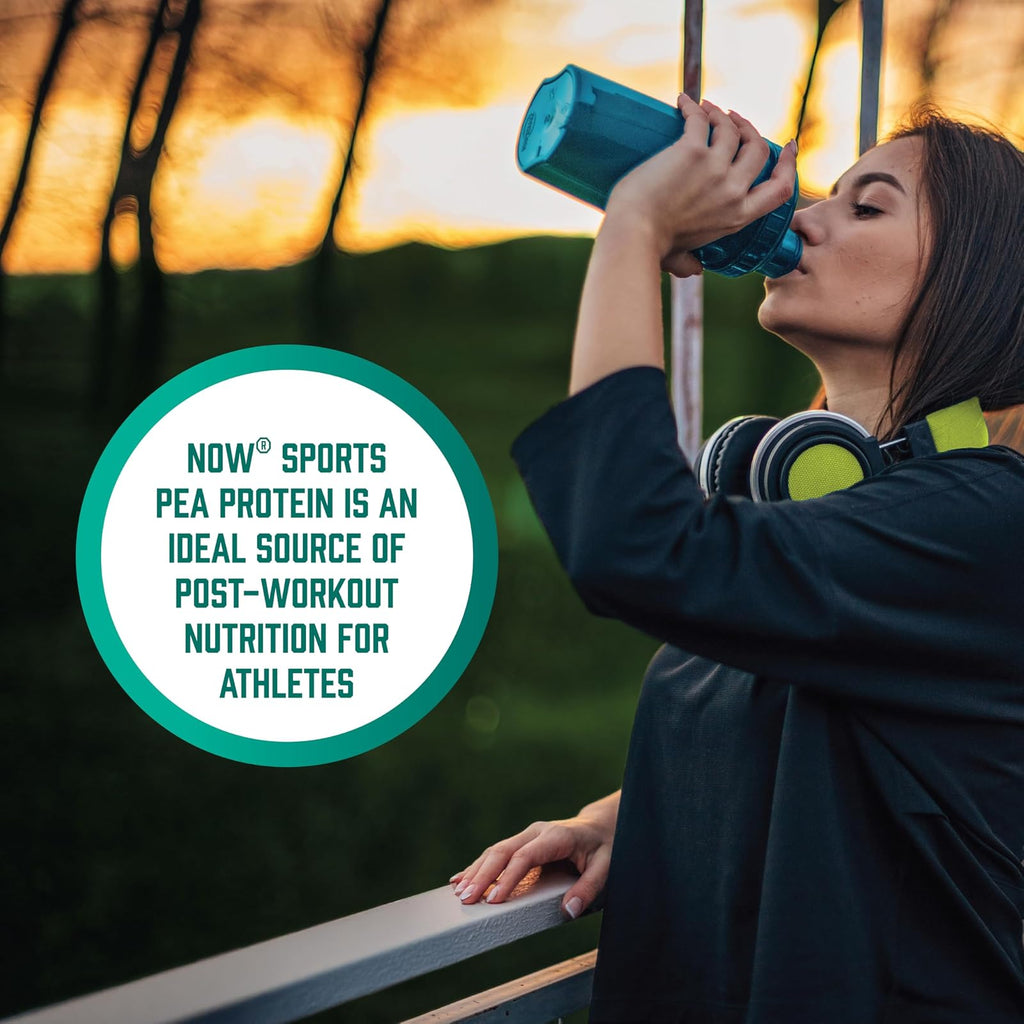 dairy-free protein supplement option