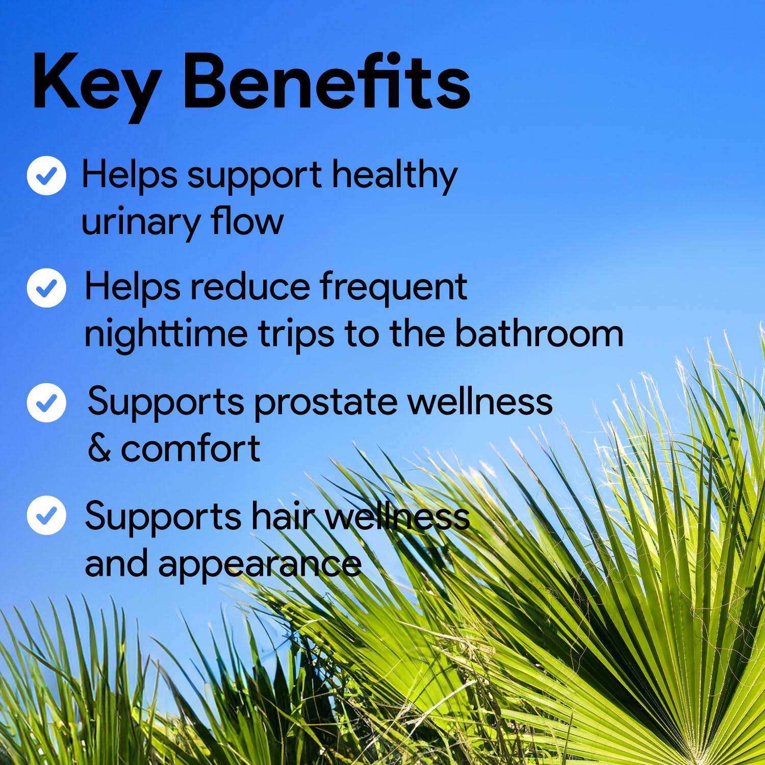 dairy-free saw palmetto for wellness