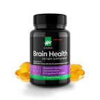 DAIWA fish oil for brain health