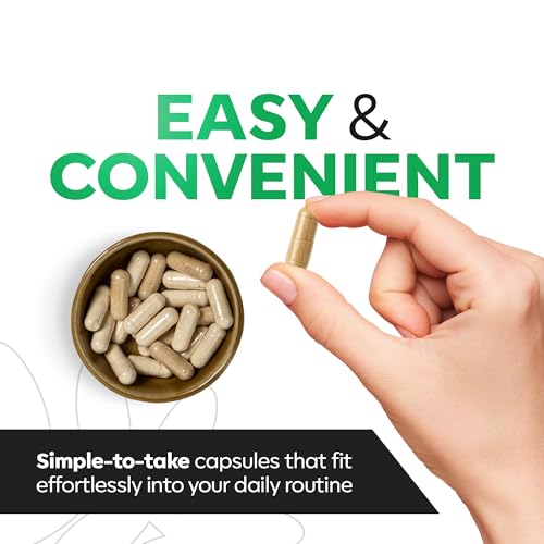 Daiwa gummy multivitamin for tasty nutrition