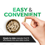Daiwa gummy multivitamin for tasty nutrition