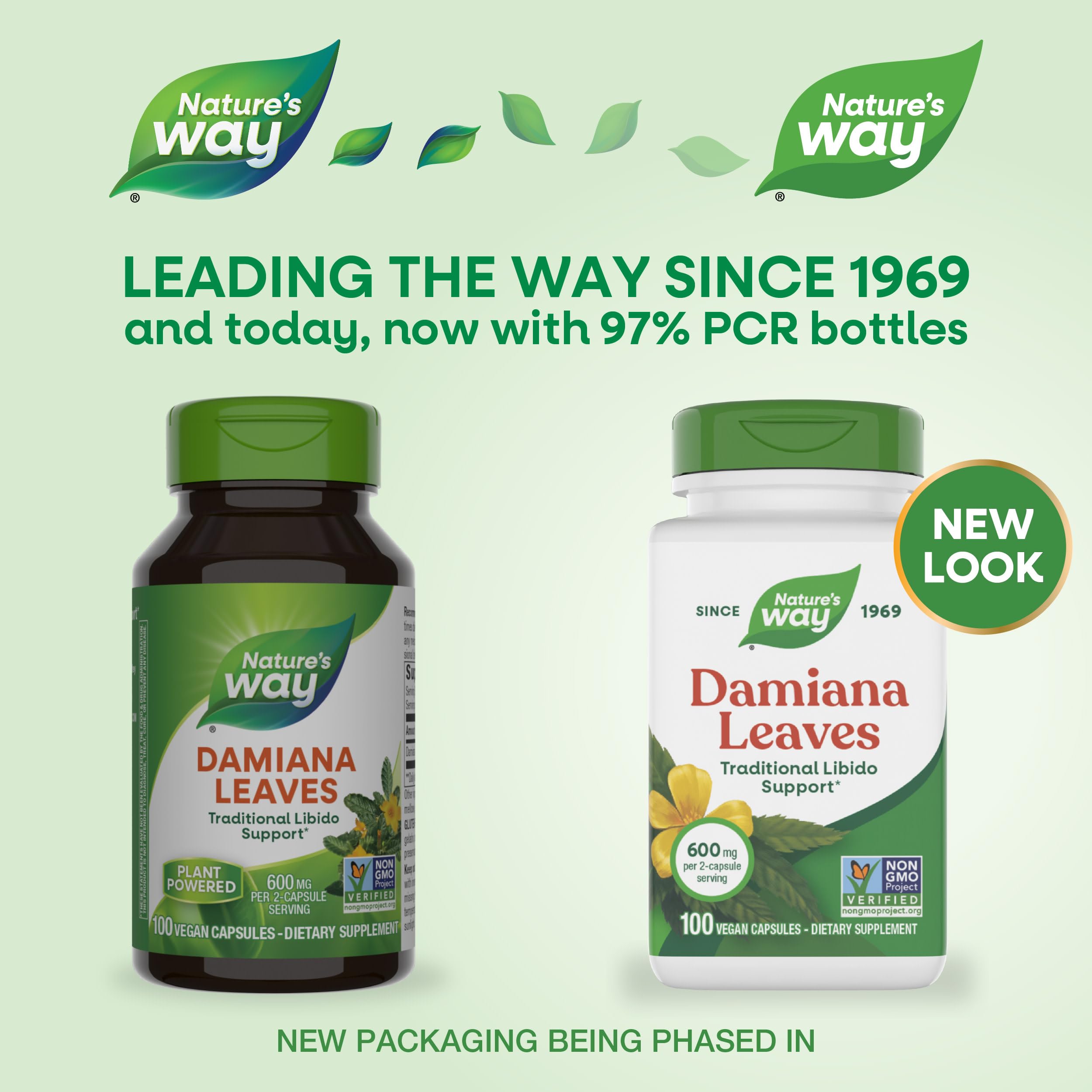 Damiana leaves for traditional health