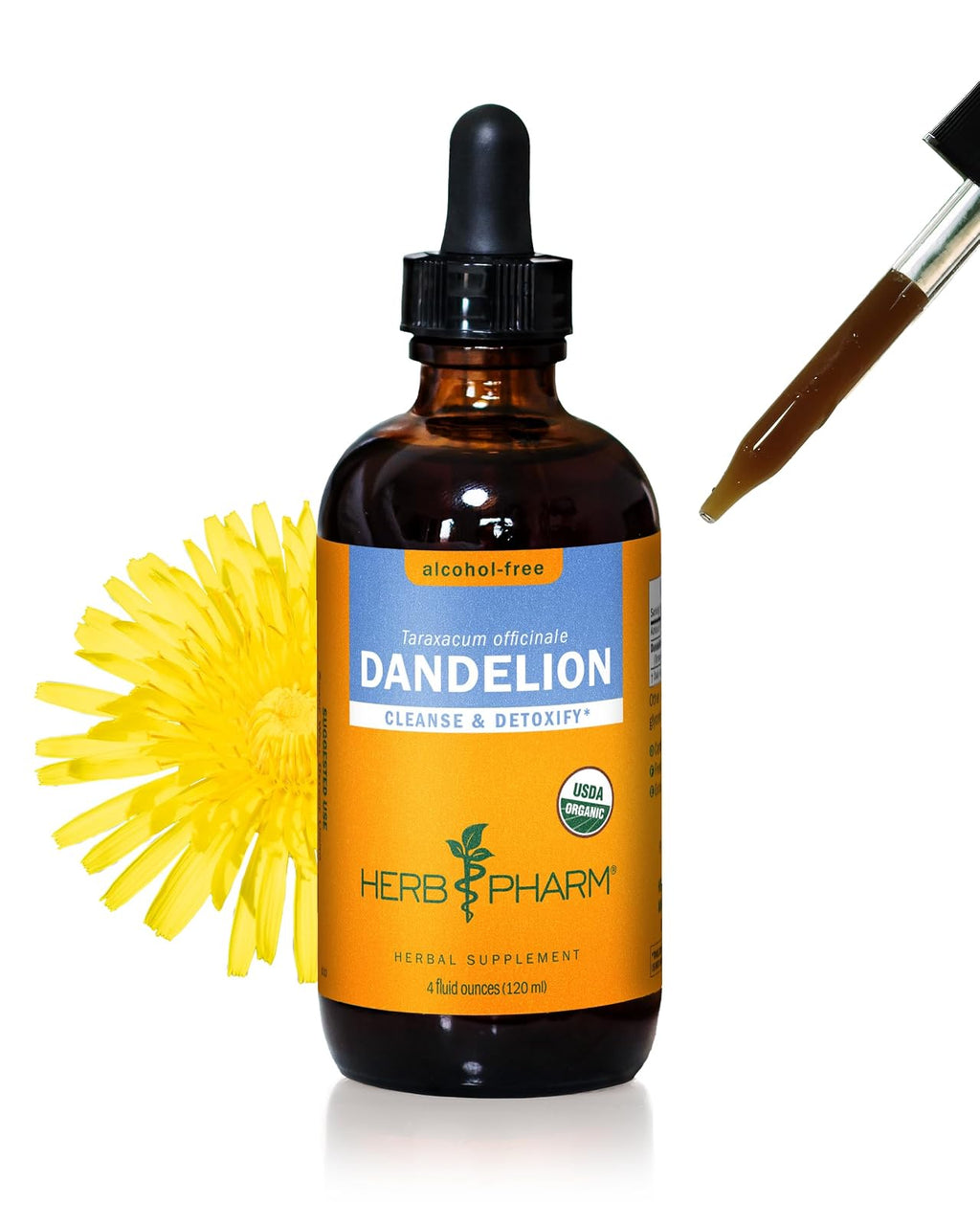 dandelion alcohol free extract benefits