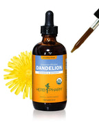 dandelion alcohol free extract benefits