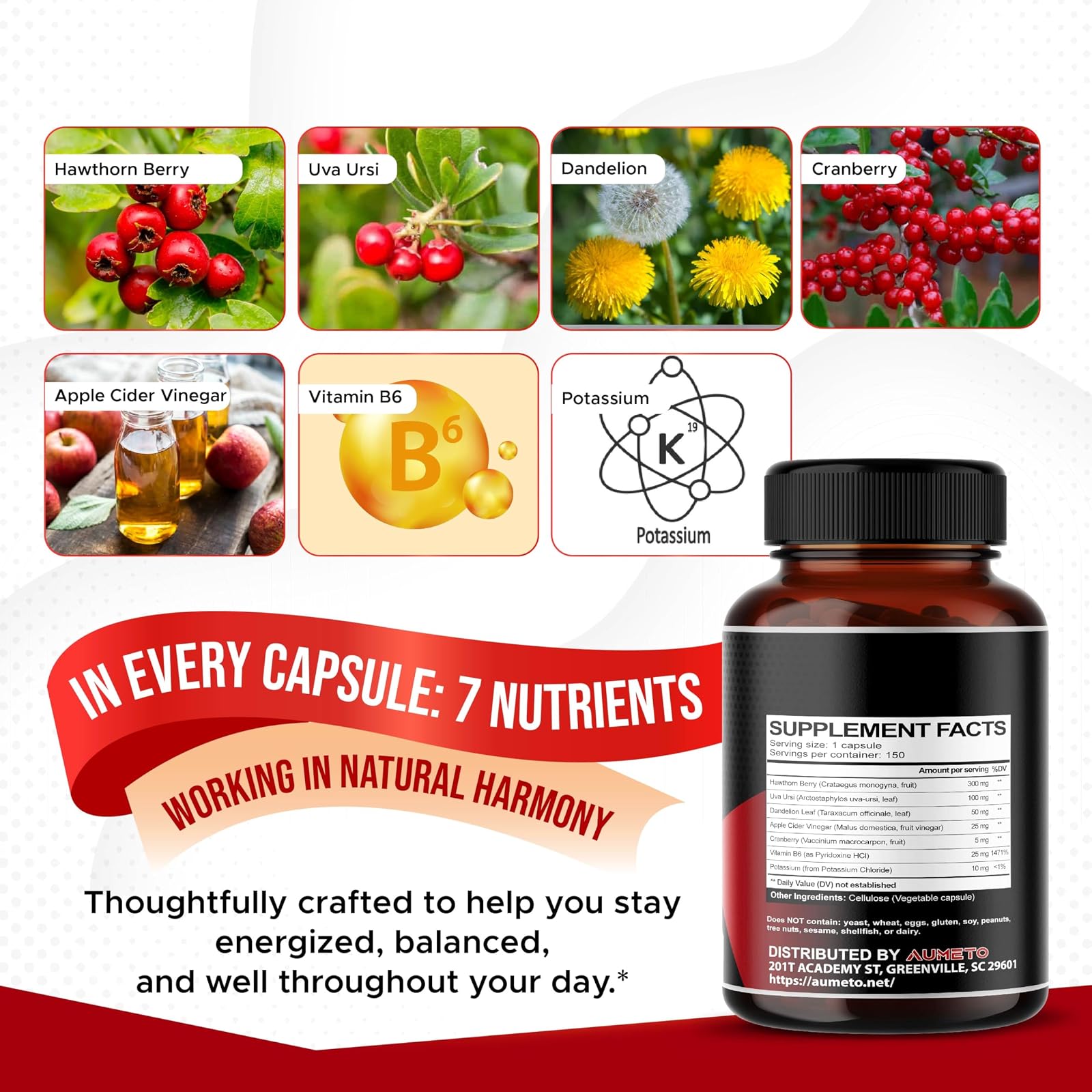 Dandelion extract for digestive health