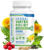 dandelion extract for digestive health