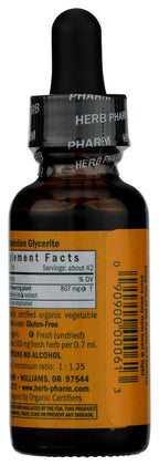 dandelion extract for liver support