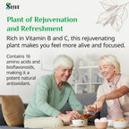 dandelion herbal tea benefits