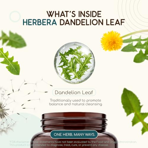 dandelion leaf capsules for detox