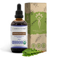 dandelion leaf extract benefits