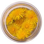 Dandelion leaves for digestive support