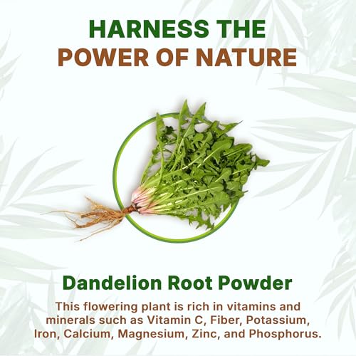 Dandelion powder for coffee alternative