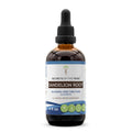 dandelion root alcohol-free extract