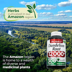 dandelion root capsules for detox