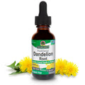 dandelion root extract benefits