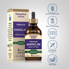 Dandelion root extract for digestion
