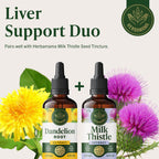 dandelion root extract for immune health