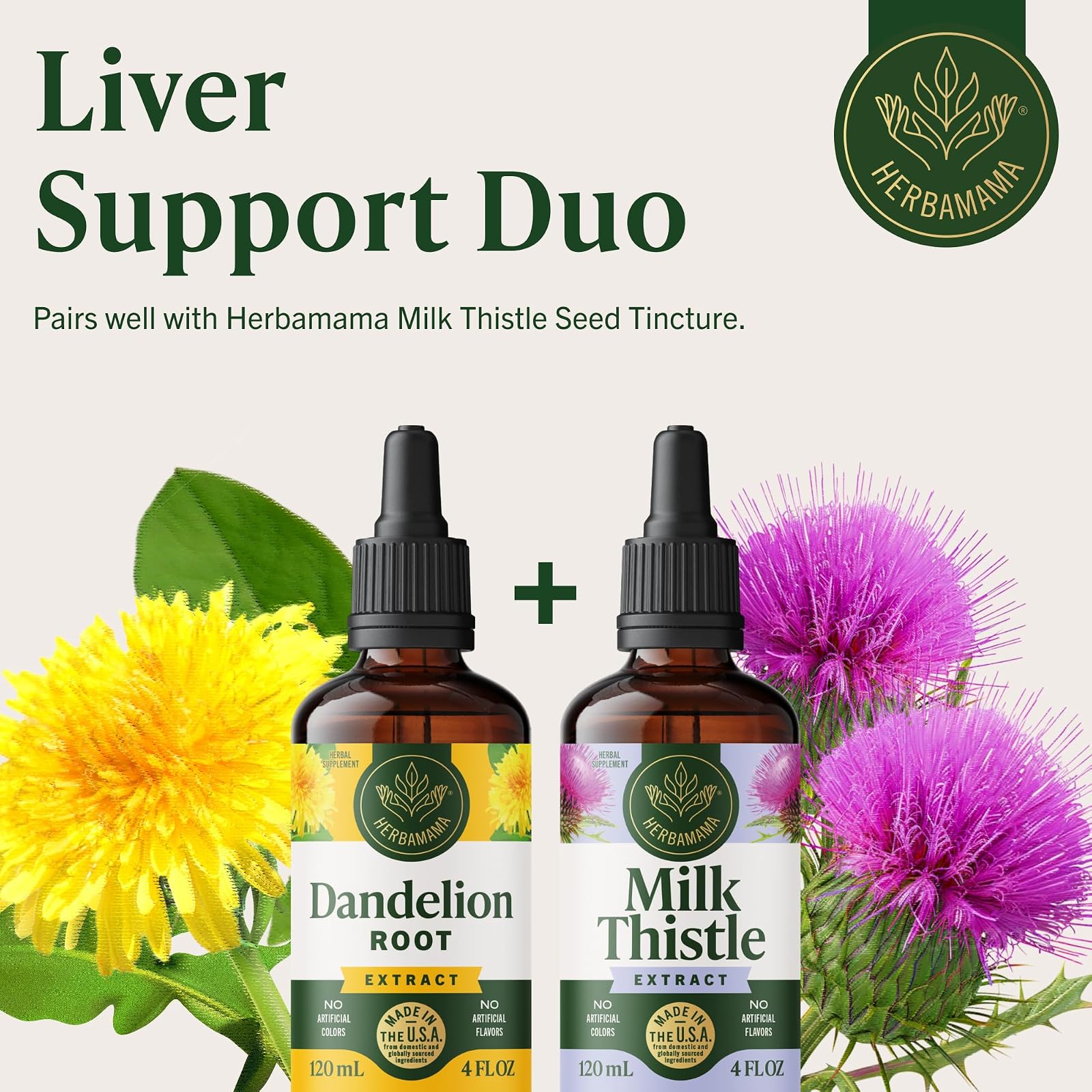 dandelion root extract for immune health