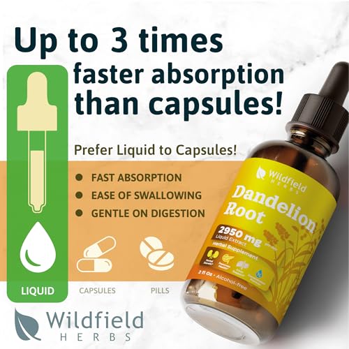 dandelion root extract for liver health
