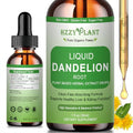 dandelion root extract liquid tincture