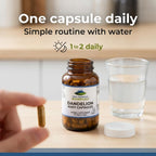 dandelion root for digestive health