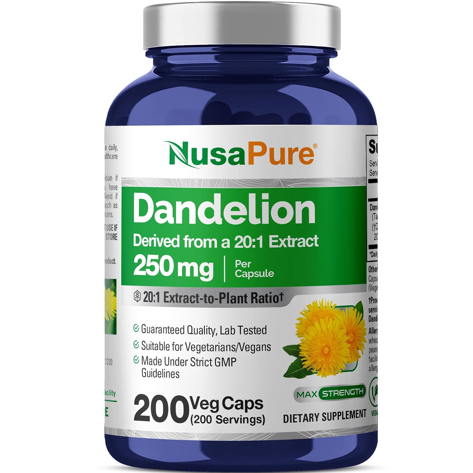 dandelion root herbal supplement capsules