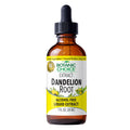 dandelion root liquid extract benefits