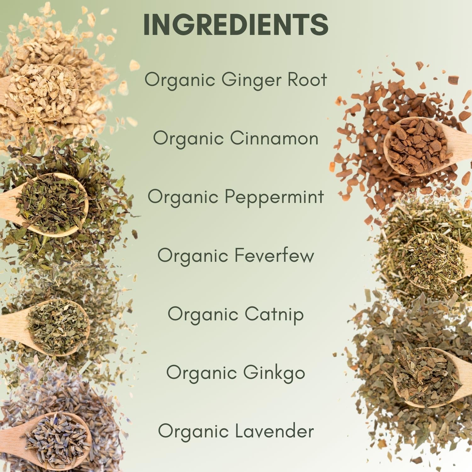 dandelion tea detox benefits
