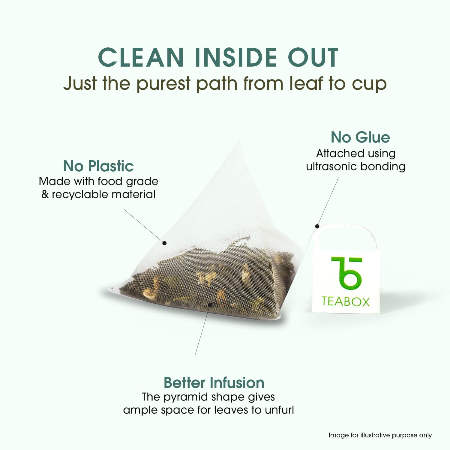 dandelion tea for digestive health