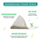 dandelion tea for natural detox